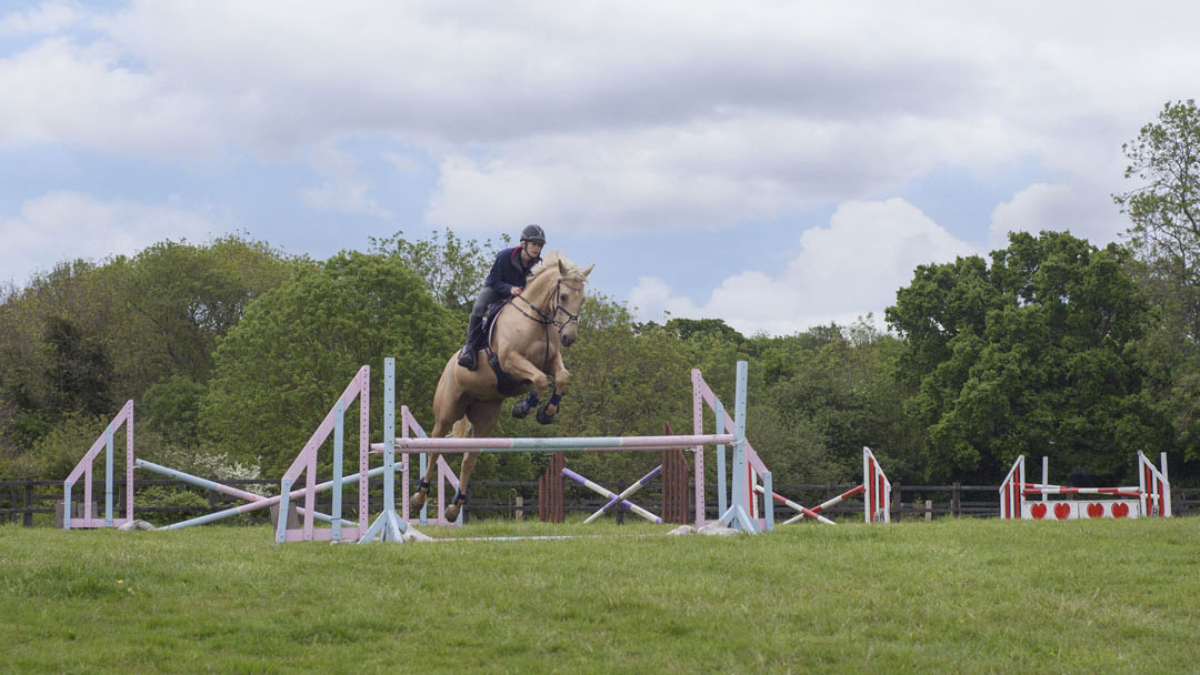 Battle Barn Farm Equestrian - 5 star livery yard in East Sussex